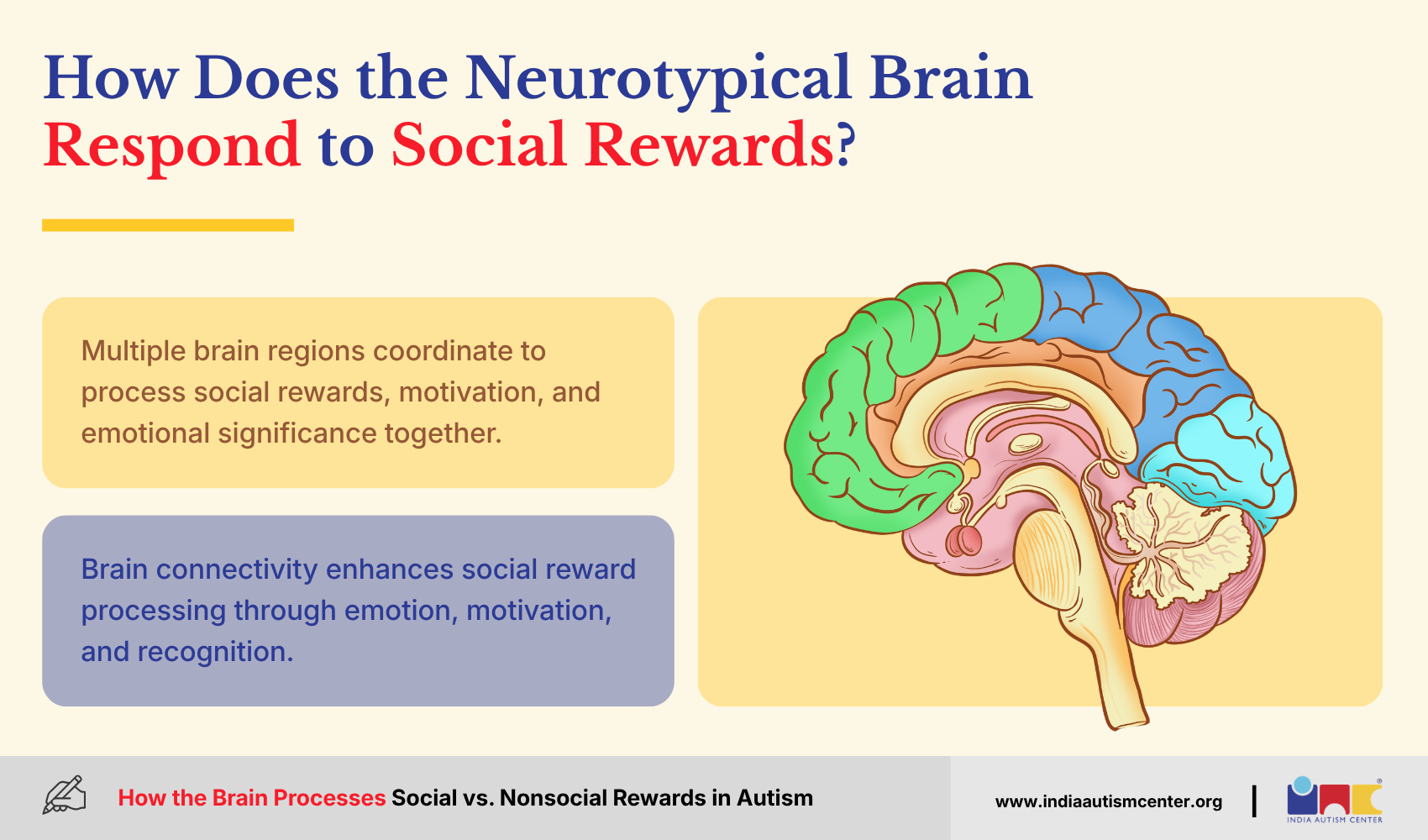 How the Brain Processes Social vs. Nonsocial Rewards in Autism - IAC